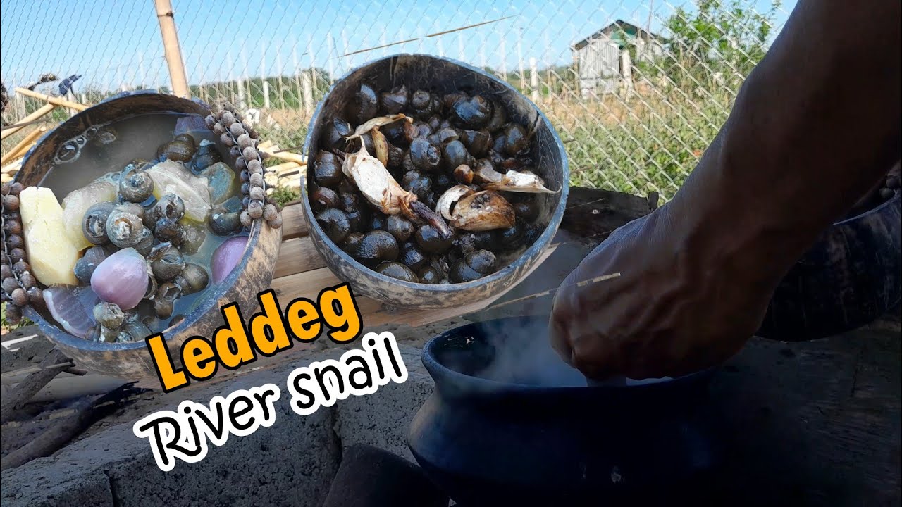 Cooking Adobo at binagoongan na leddeg or river snail | My simple life ...