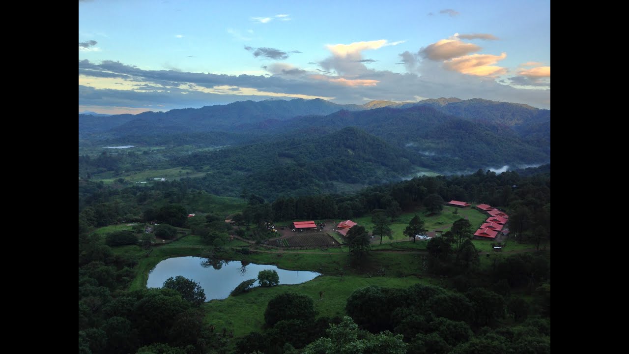 A look at the Mission Lazarus Refuge - YouTube