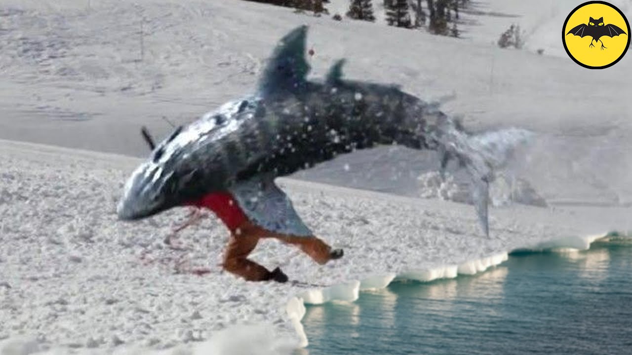 Criaturas Misteriosas Captadas En Cámara Y Vistas En La Vida Real ...