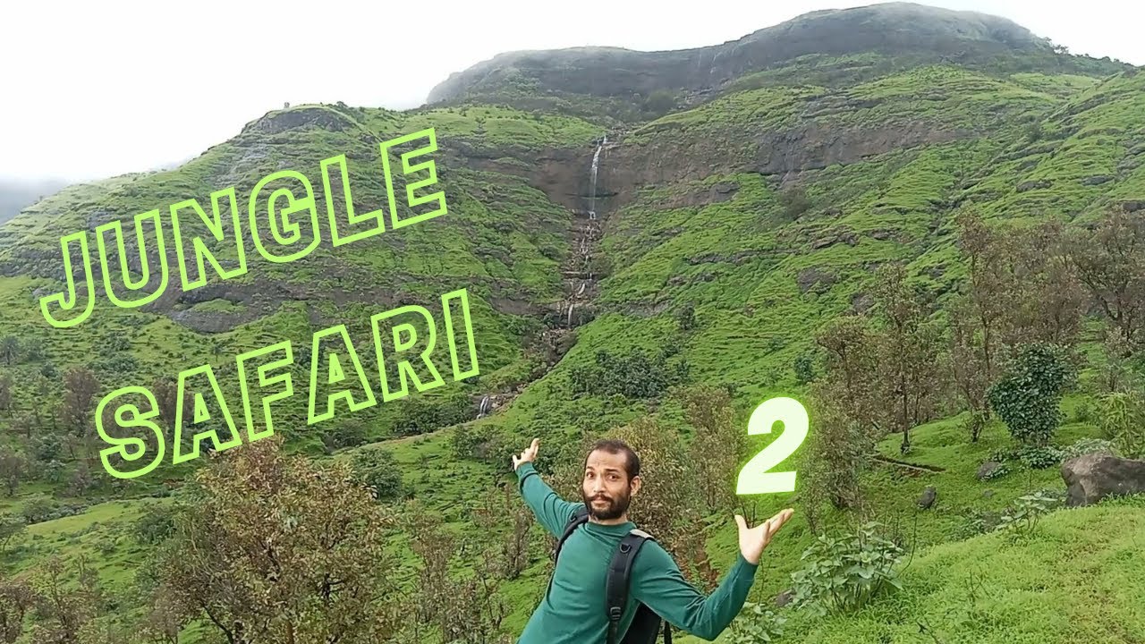 Jungle safari//mayanmar gate//igatpuri//pahadi ghoda - YouTube