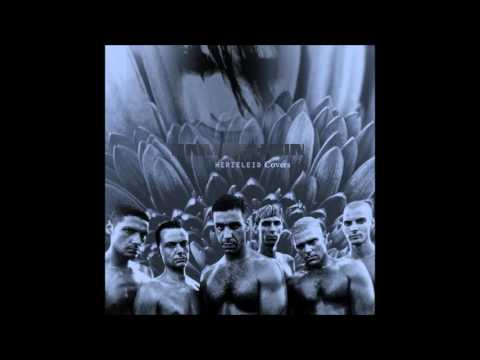 Karl Johansson - Wollt ihr das Bett in Flammen sehen (Rammstein Full Band Cover)