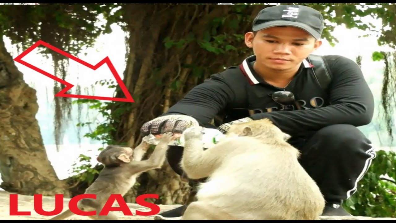 Prince LUCAS Happy to meet fans, LUCAS got water from fans - YouTube