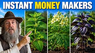 14 Plants Worth More Than Gold That Nobody's Growing