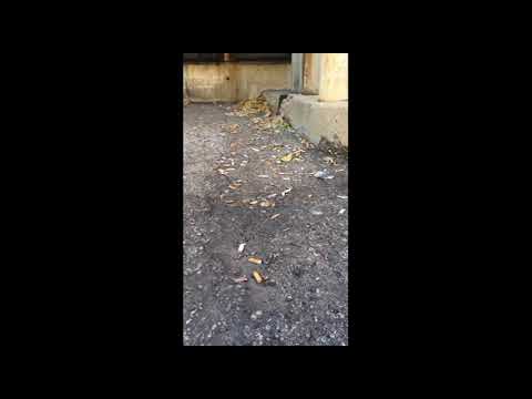 Ohio State Smoking Spots - YouTube