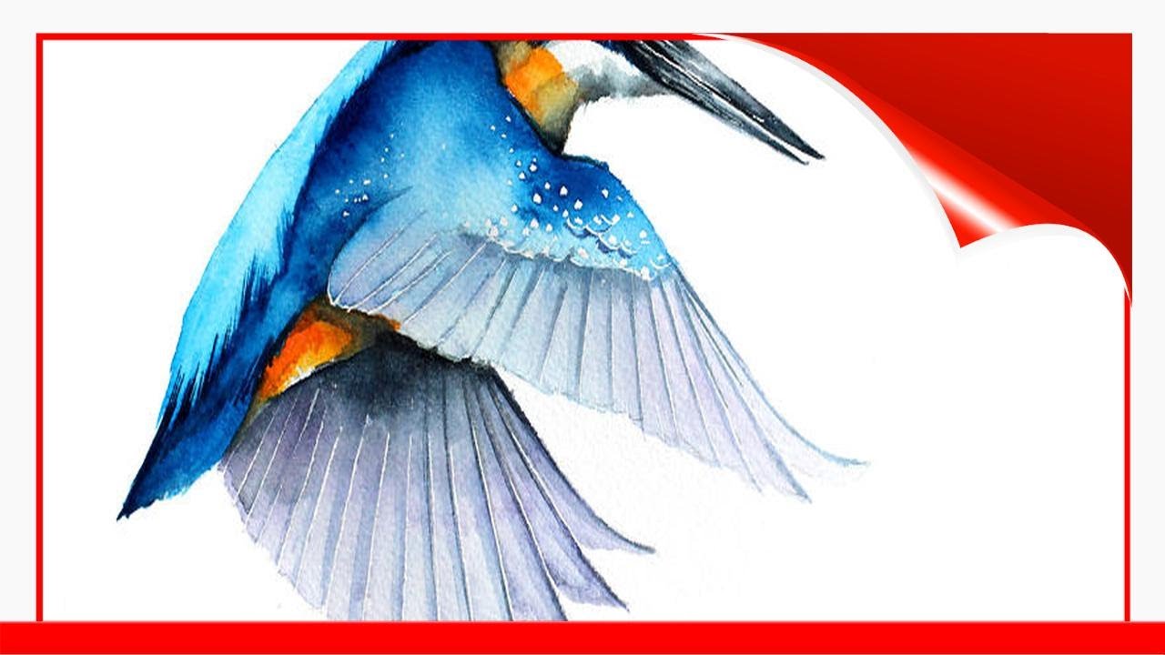 Flying Birds Always Aroused My Admiration, Which Is Why I Want To ...