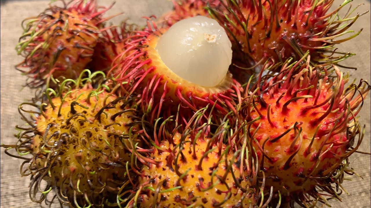 How to eat and open Rambutan fruit 3 ways - YouTube
