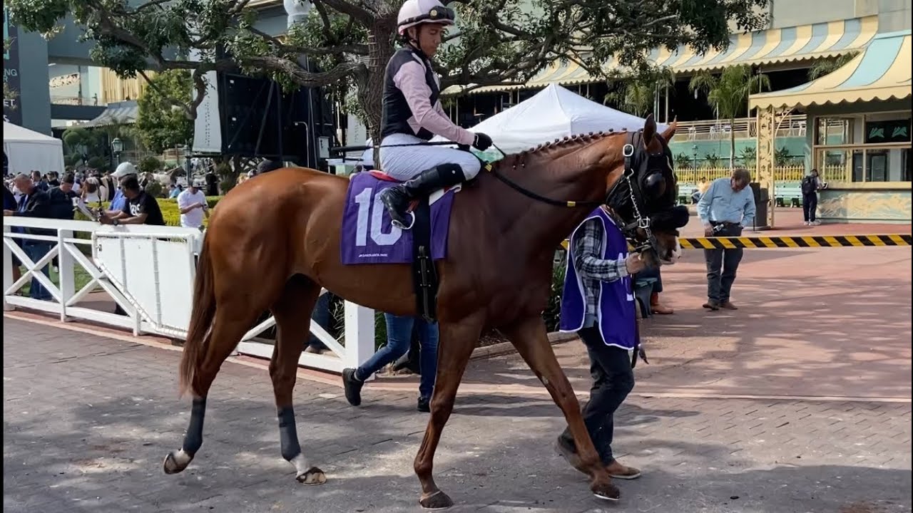 General Mathis wins the eighth race at Santa Anita Park - YouTube
