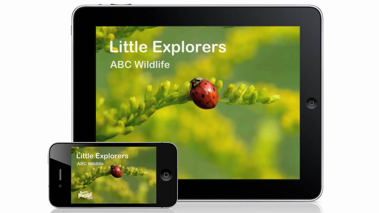 Little Explorers - ABC Wildlife 2.2 - YouTube