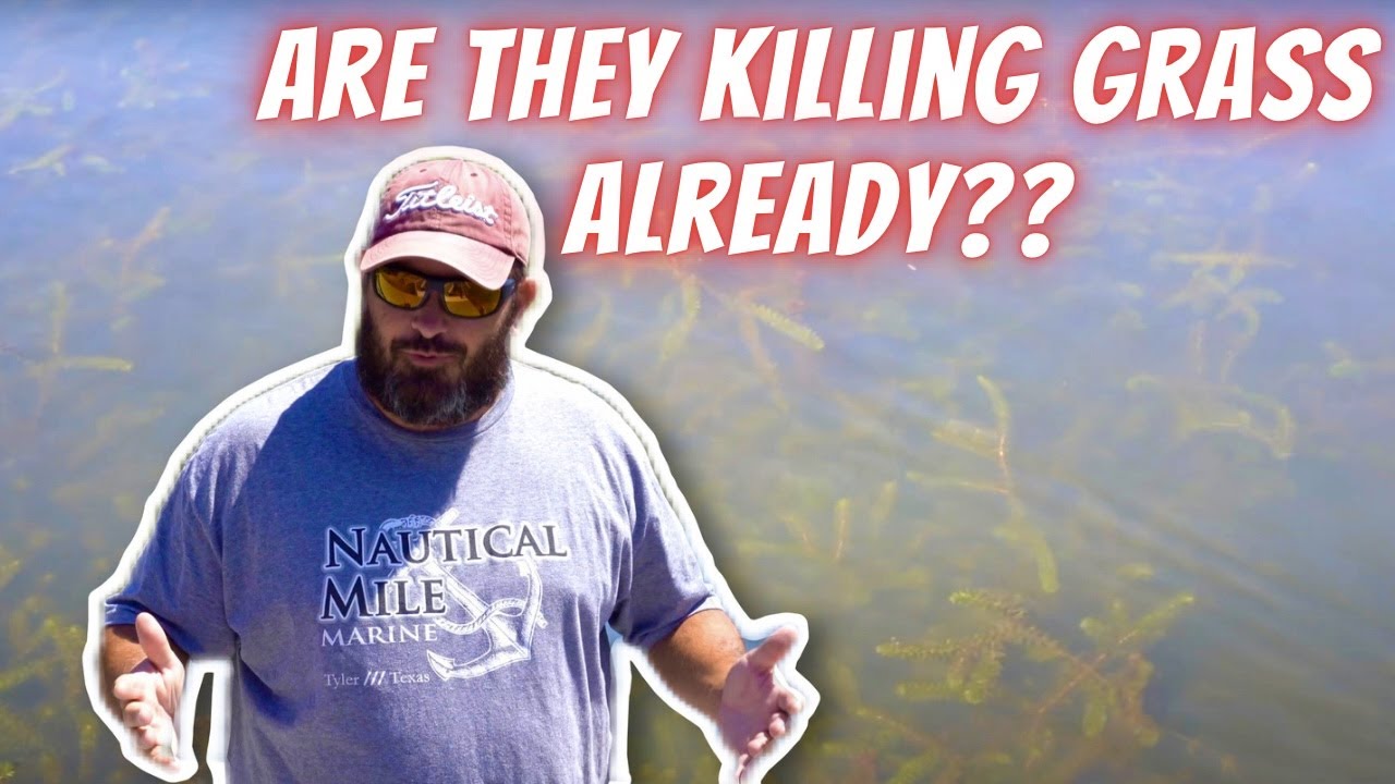 Lake Fork Bass Fishing Vegetation Update: Is TPWD Spraying and Killing ...
