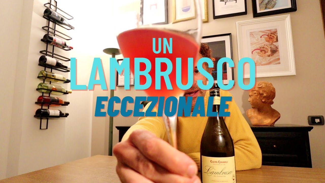 Uno dei LAMBRUSCHI più BUONI che abbia mai assaggiato: Lambrusco del ...