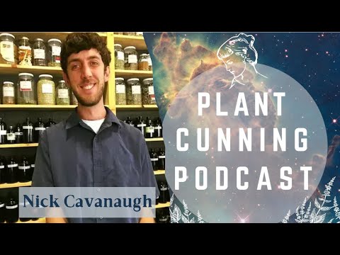 Ep.112: Nick Cavanaugh on Collectively Owned Apothecaries - YouTube