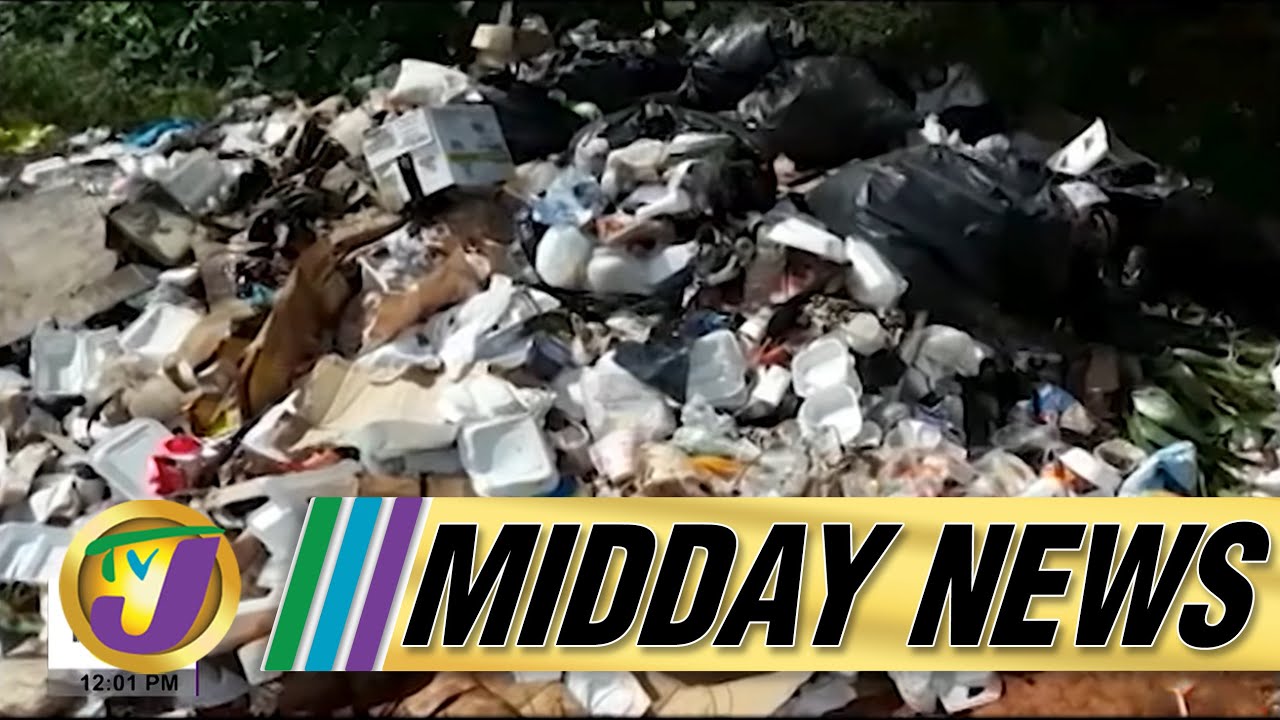 Poor Garbage Collection | JLP Supporters Protest | TVJ Midday News ...