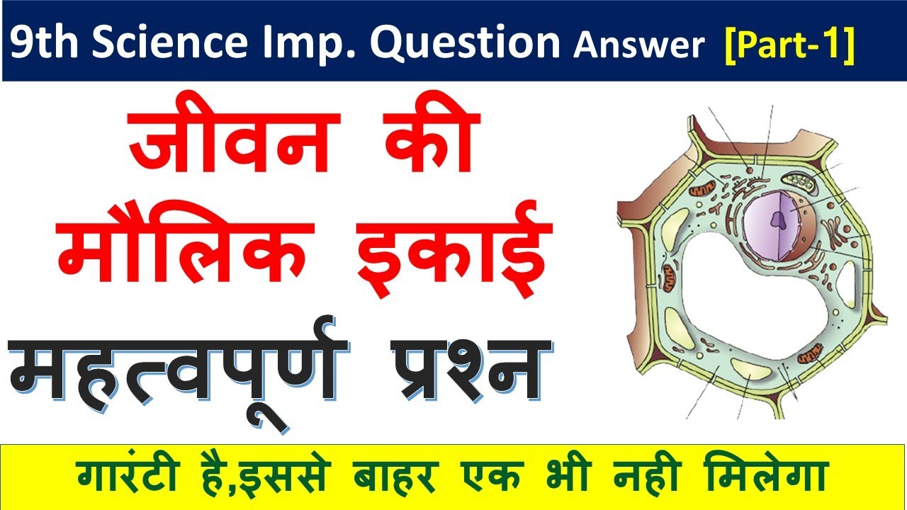 Class 9 Science Chapter 5 Important Questions In Hindi 9th Science class-9-science-chapter-5-important-questions-in-hindi-9th-science