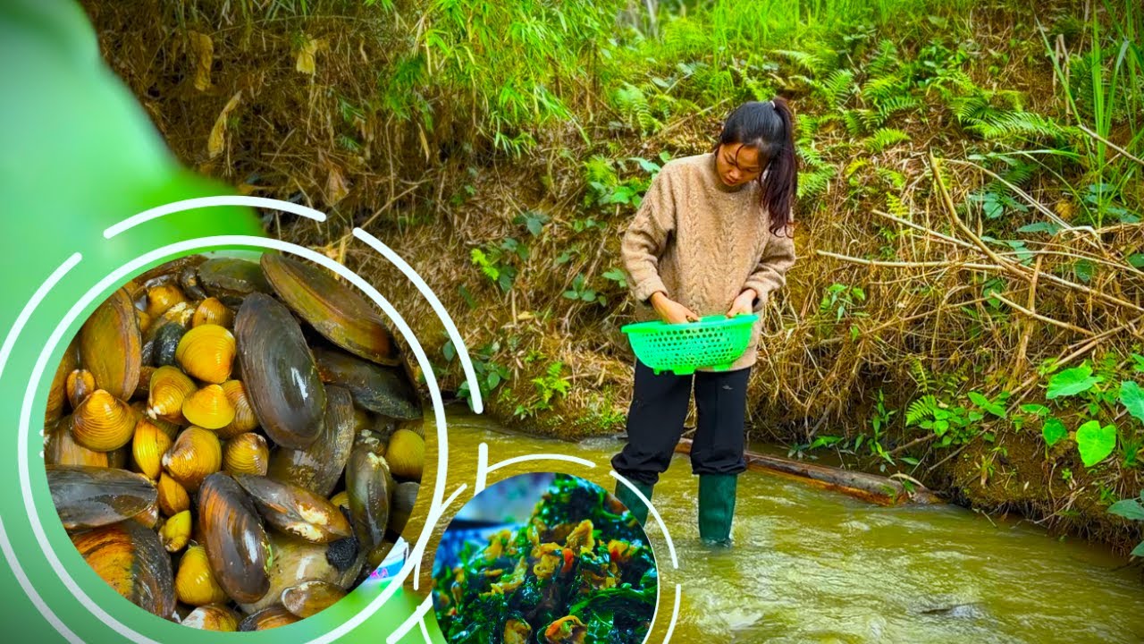 Catching Clams in Natural Streams and Preparing a Rustic Hometown Dish ...