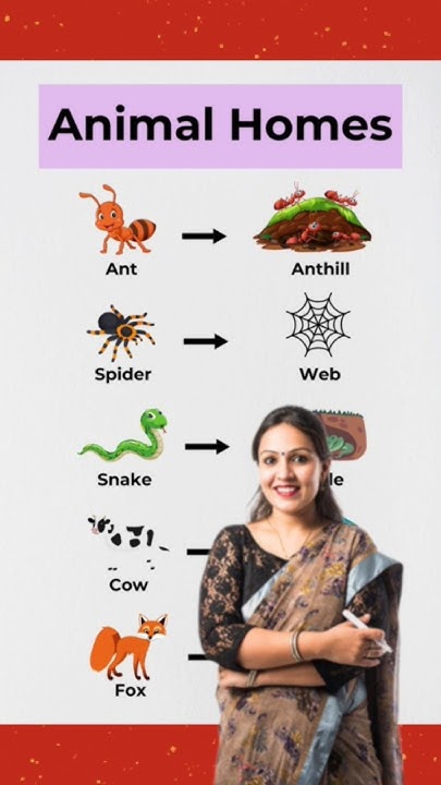 Animal homes | english vocabulary for beginner 🌏 #vocabs - YouTube