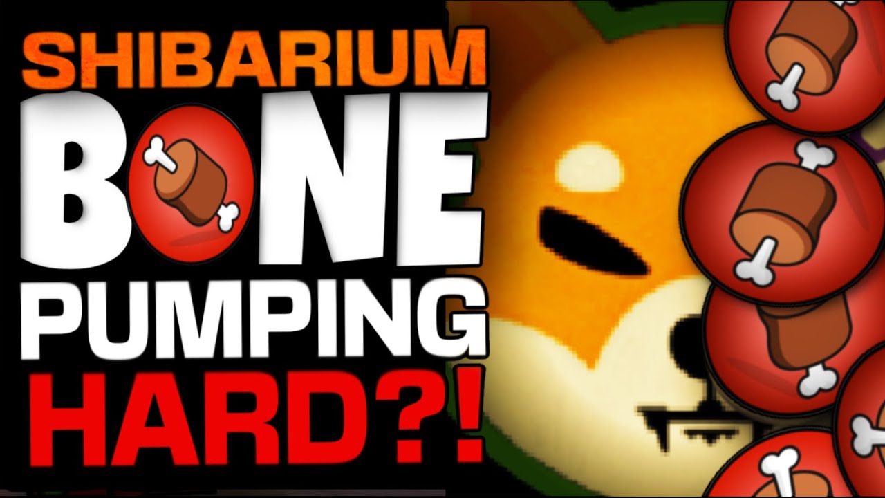 UNBELIEVABLE BONE SHIBASWAP TOKEN AND SHIBARIUM PUMPING LIKE NO ...