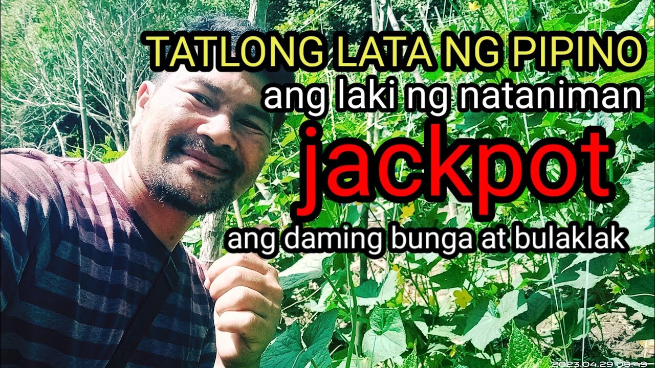 sa tatlong lata ang laki ng inabot.? - YouTube