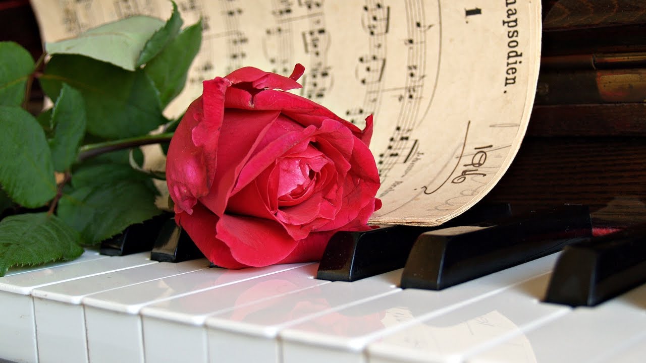 Bossa Nova Piano-Slow Musique Relaxante Pour Se Détendre-Bossa Nova ...