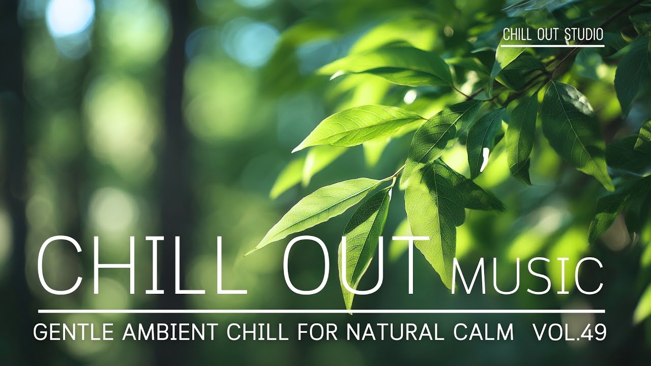Gentle Ambient Chill for Natural Calm | Soft Forest Light for Relaxed ...