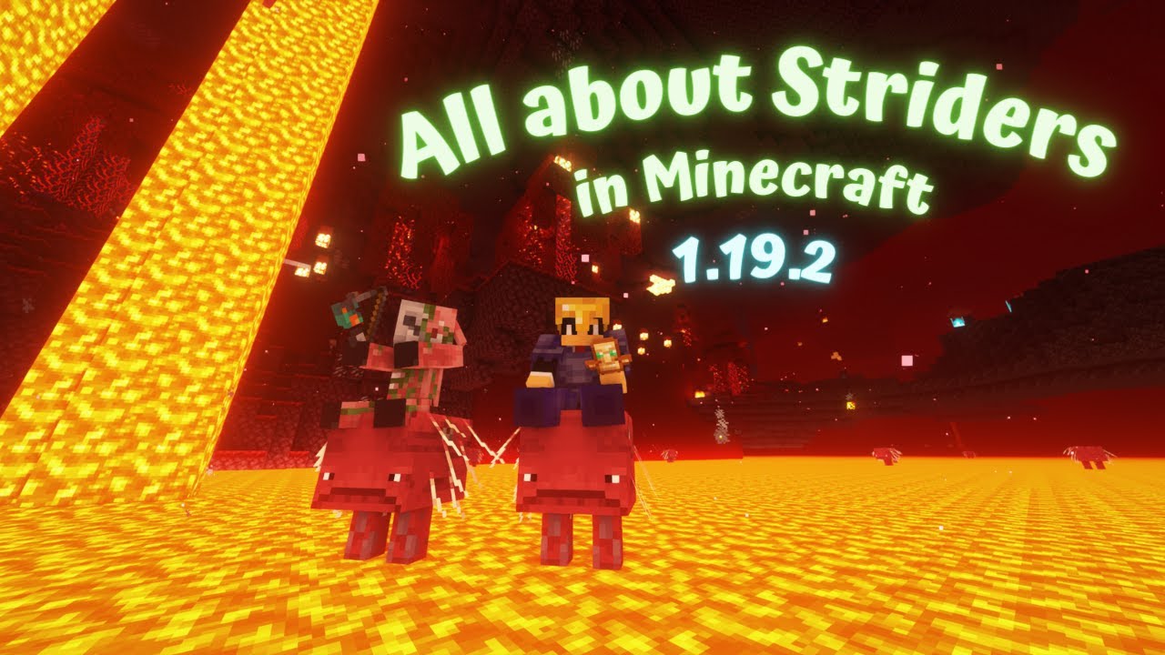 All about Striders in Minecraft - YouTube