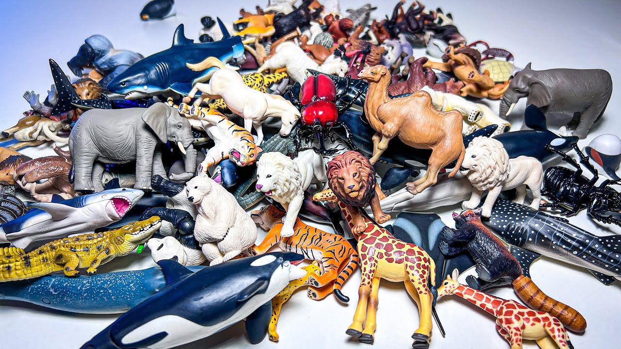 Animals Collection - Giraffe, Lion, Tiger, Shark, Whale, Dolphin ...