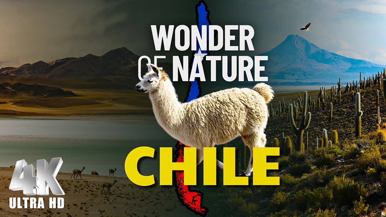 Chile 4K - Chile's Hidden Gems Revealed in Stunning 4K Video UHD - YouTube