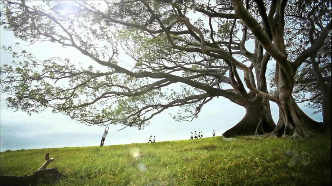 I Still Call Australia Home - Qantas TV Commercial (2009) - HD - YouTube