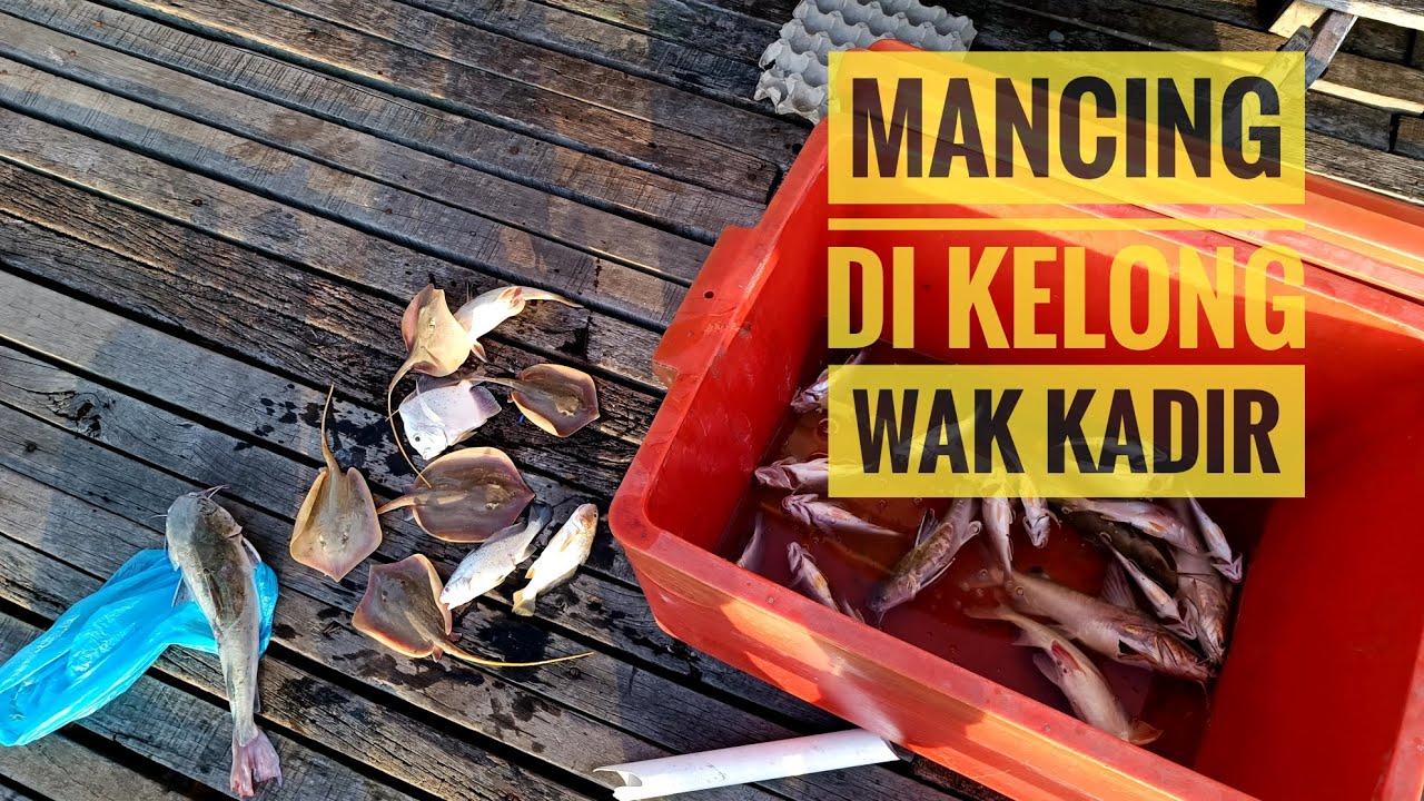 Mancing di kelong Wak kadir pulau indah. - YouTube