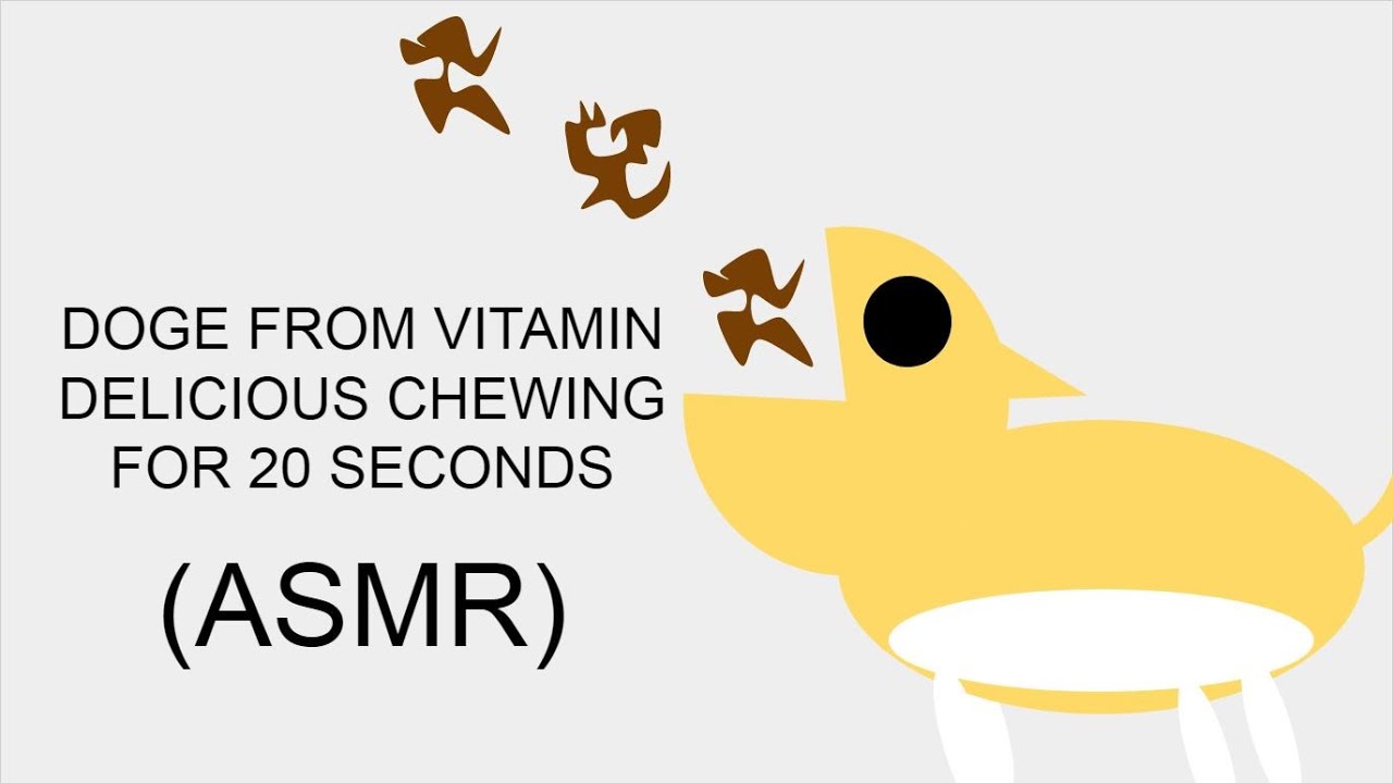 Doge from Vitamin Delicious Chewing For 20 Seconds (ASMR) - YouTube