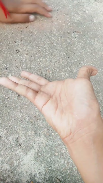 ၂၀၂၄၊ ၃၀ မေ Youtube