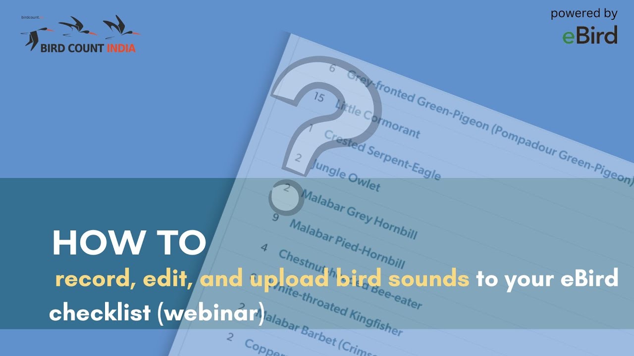How to Record, edit, and upload bird sounds to your eBird checklist ...