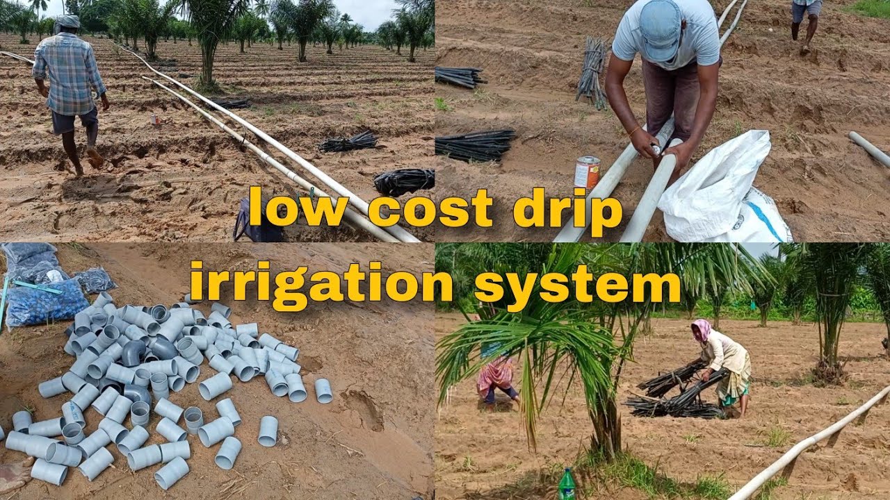 low cost drip irrigation system !తక్కువ ఖర్చుతో కూడిన బిందు సేద్యం ...