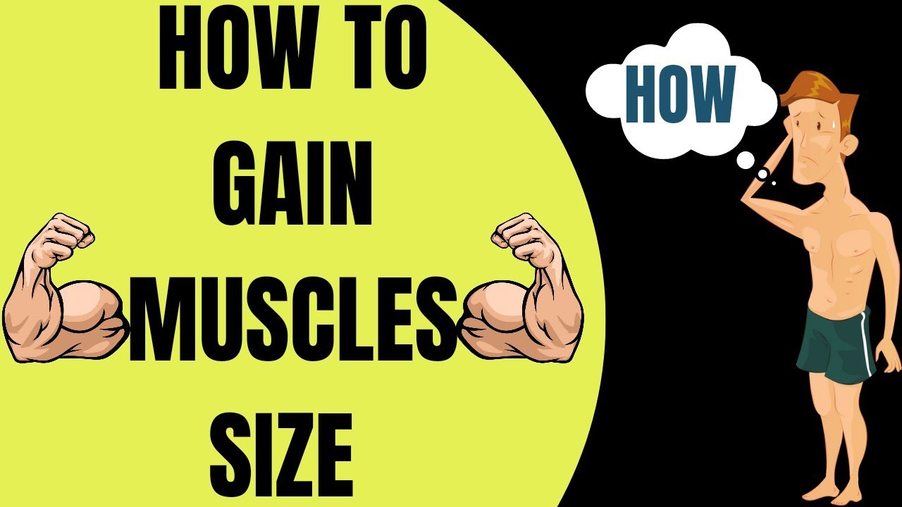 HOW TO GAIN MUSCLE SIZE | POWER PRO PROTEIN | MUSCLE BUILDING ...