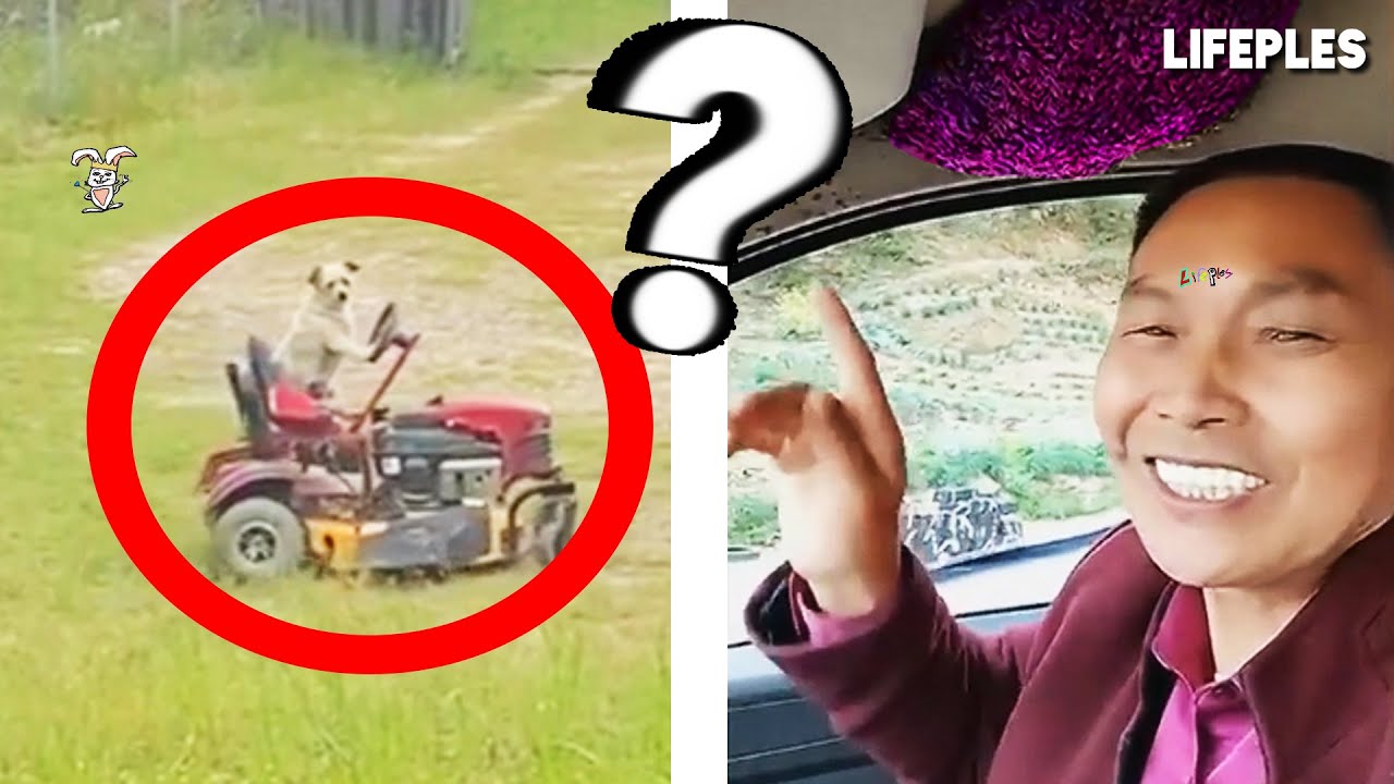 MOST INSANE MOMENTS EVER RECORDED ! *.* - YouTube