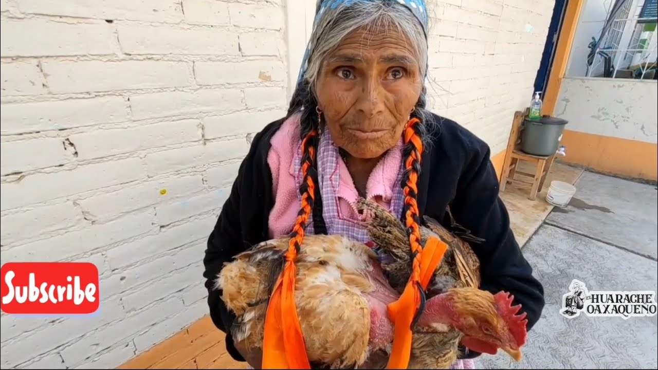 "Triste vendo mis pollitos 🐔para el recaudo de la semana "|Tía Ofelia ...