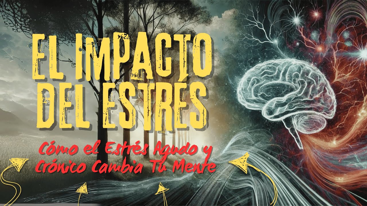 El Impacto del Estrés - Cómo el Estrés Agudo y Crónico Cambia Tu Mente ...