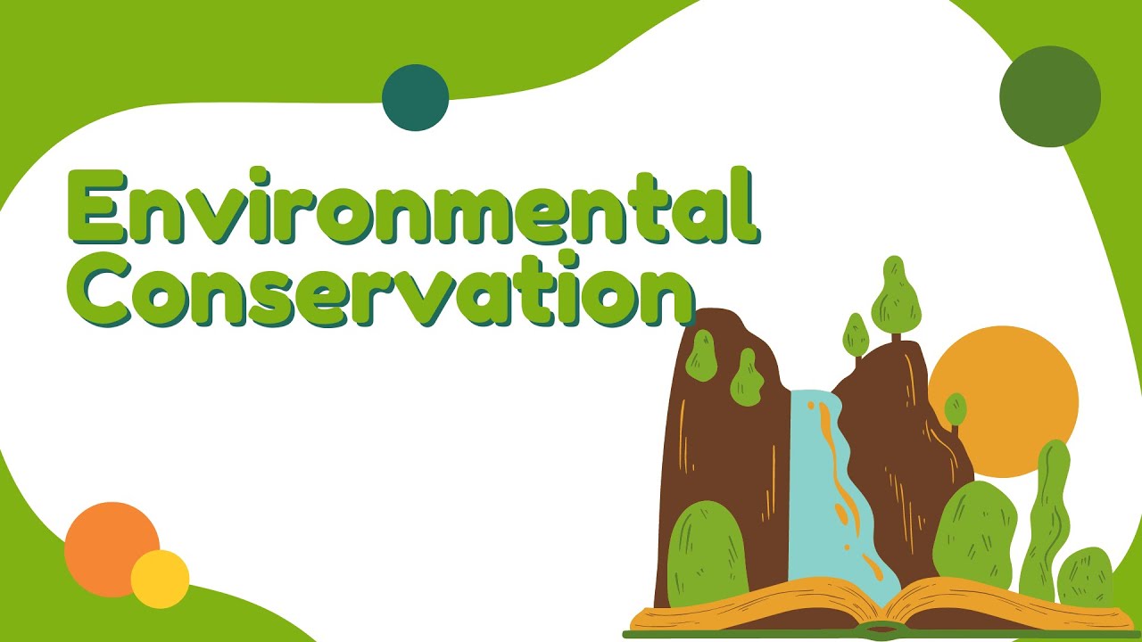 Environmental Conservation - YouTube