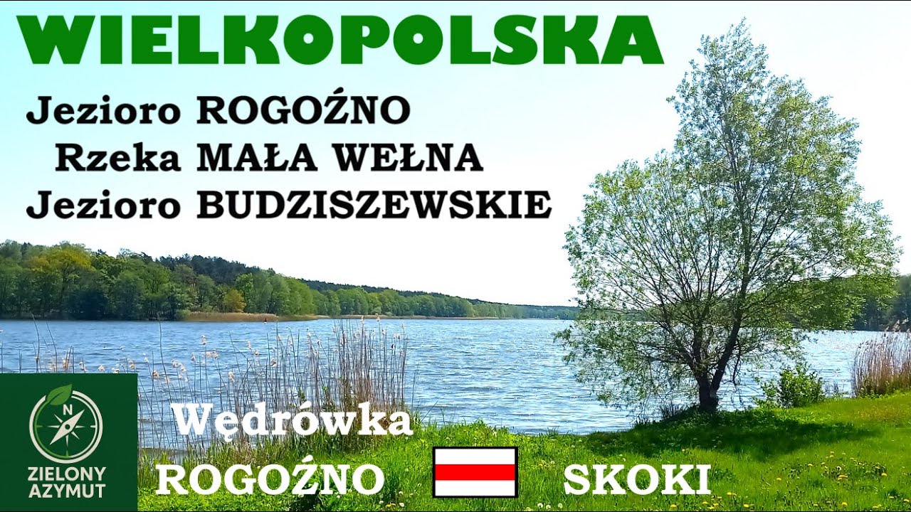Jezioro ROGOŹNO Rzeka MAŁA WEŁNA Jezioro BUDZISZEWSKIE WIELKOPOLSKA ...