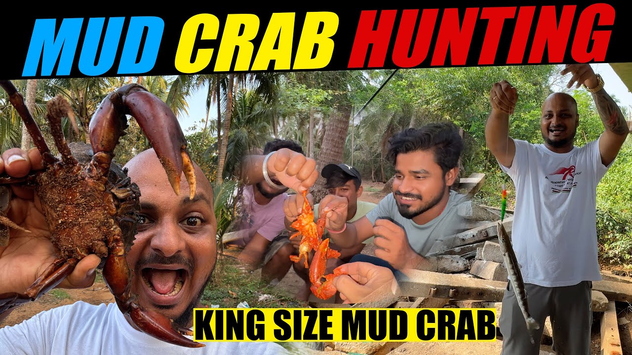 River Side Mud Crab Hunting & Crab Roast 😍 @TRIPTHEWILD - YouTube