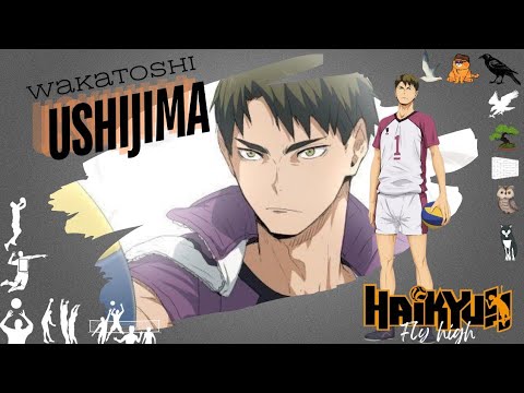 Review Ushijima Wakatoshi - Opposite Hitter From Shiratorizawa ...