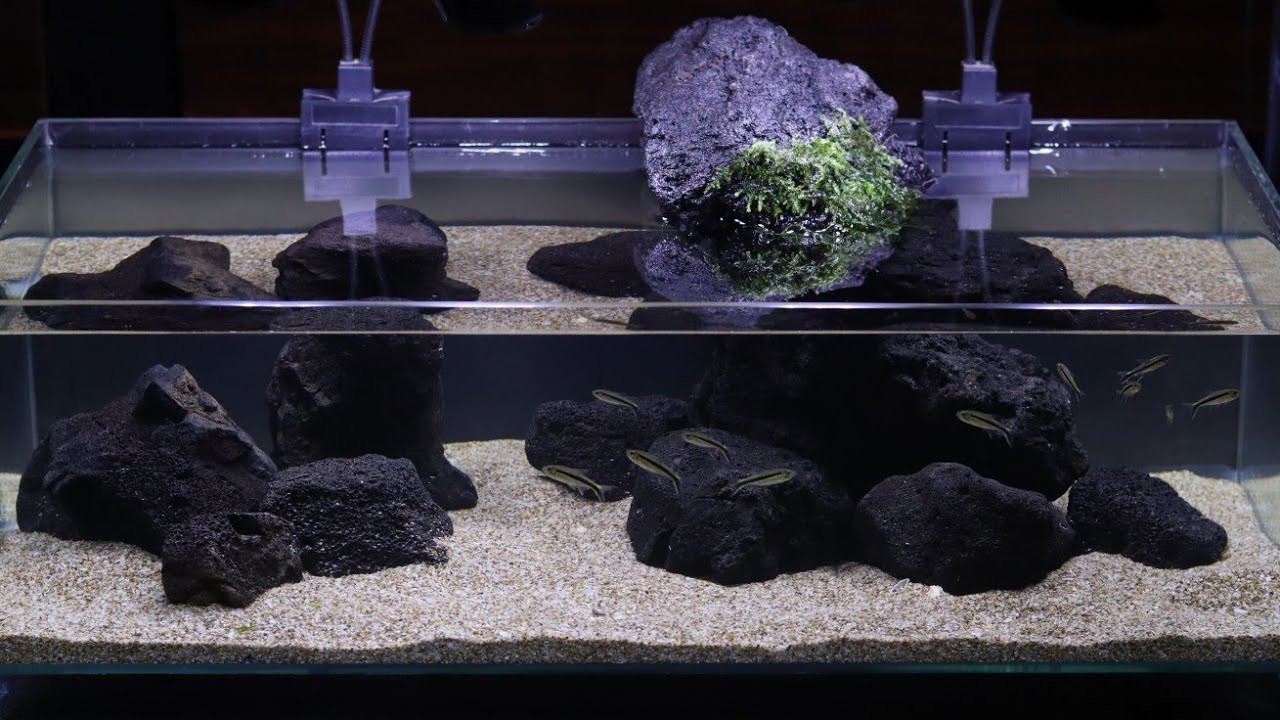 #14 Shallow river side aquarium setup/ keeping it simple. - YouTube