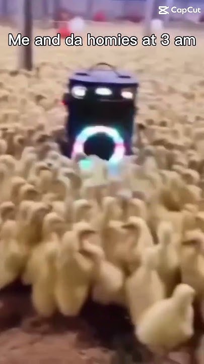 Only with the true homies - YouTube