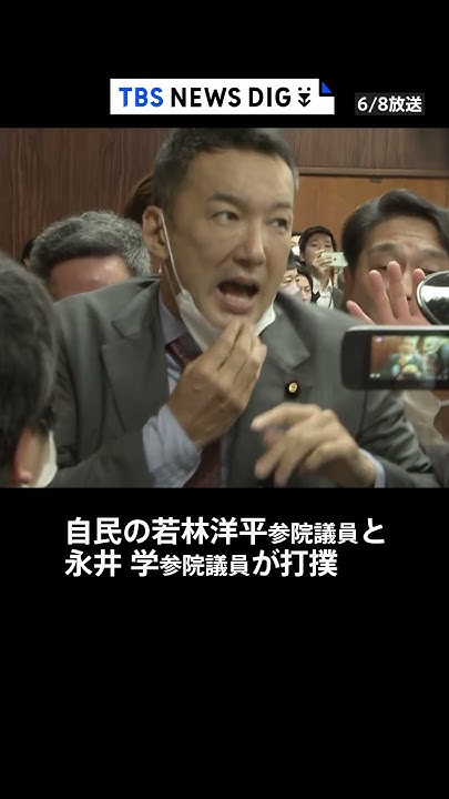 れいわ・山本太郎代表の懲罰動議提出へ 入管法改正案採決時などで議員らにケガさせる Shorts |tbs News Dig Youtube