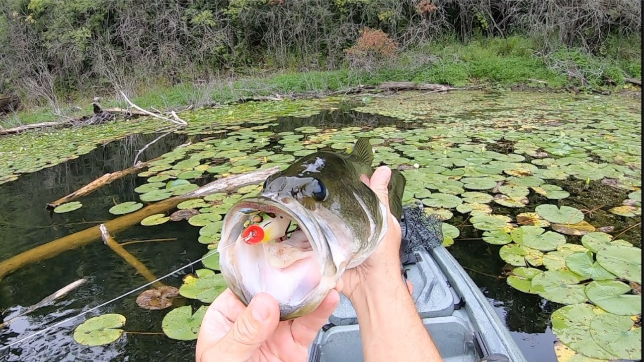 Frog Fishing For Bass | Epic Topwater Blowups - YouTube