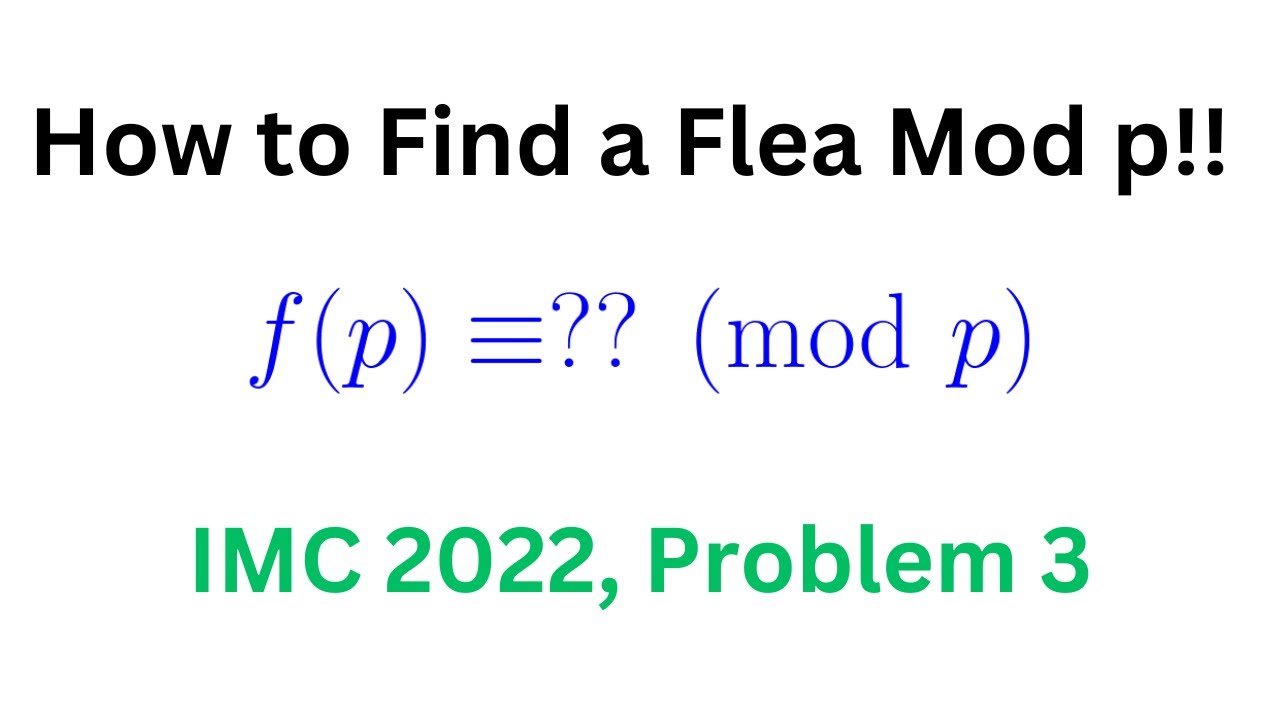 International Mathematics Competition (IMC) 2022, Problem 3, A flea problem modulo p - YouTube