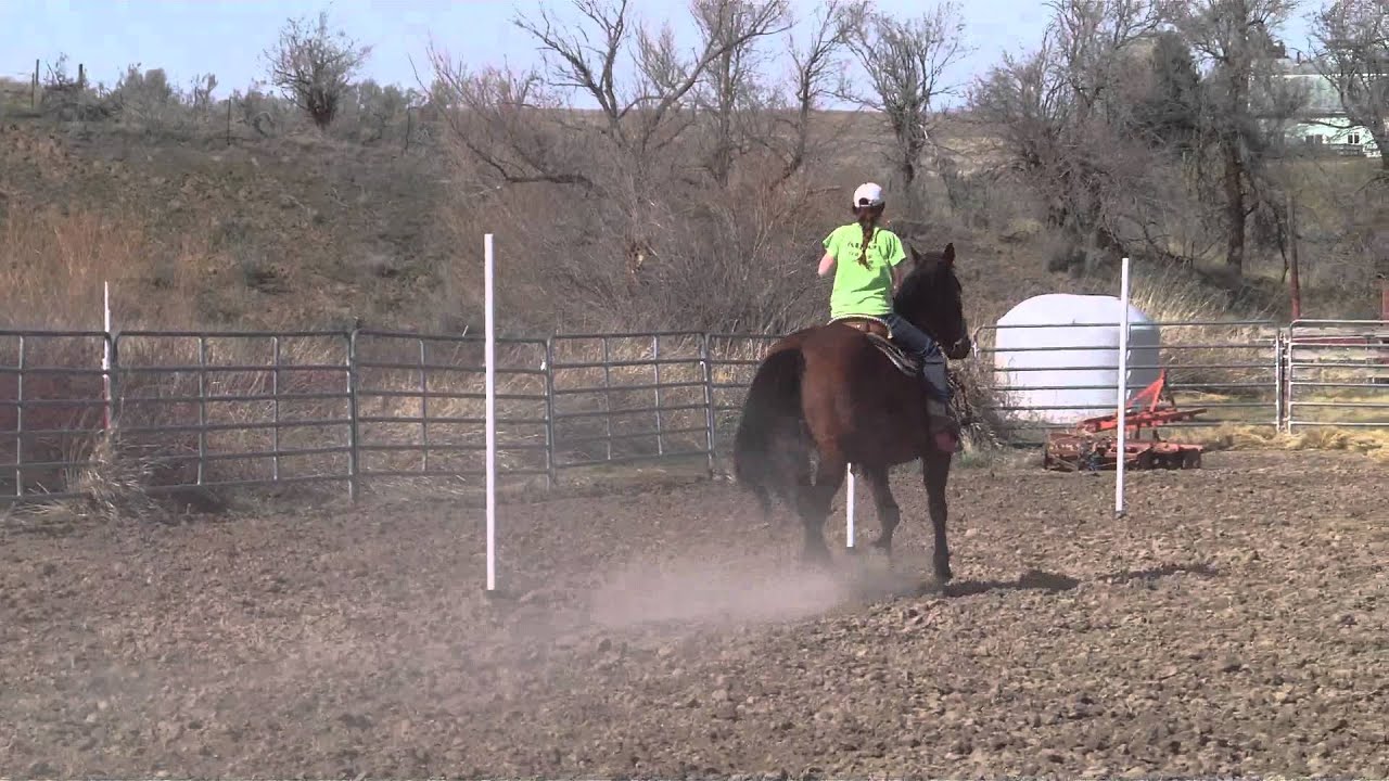 Bossman @ home, slow working poles - YouTube