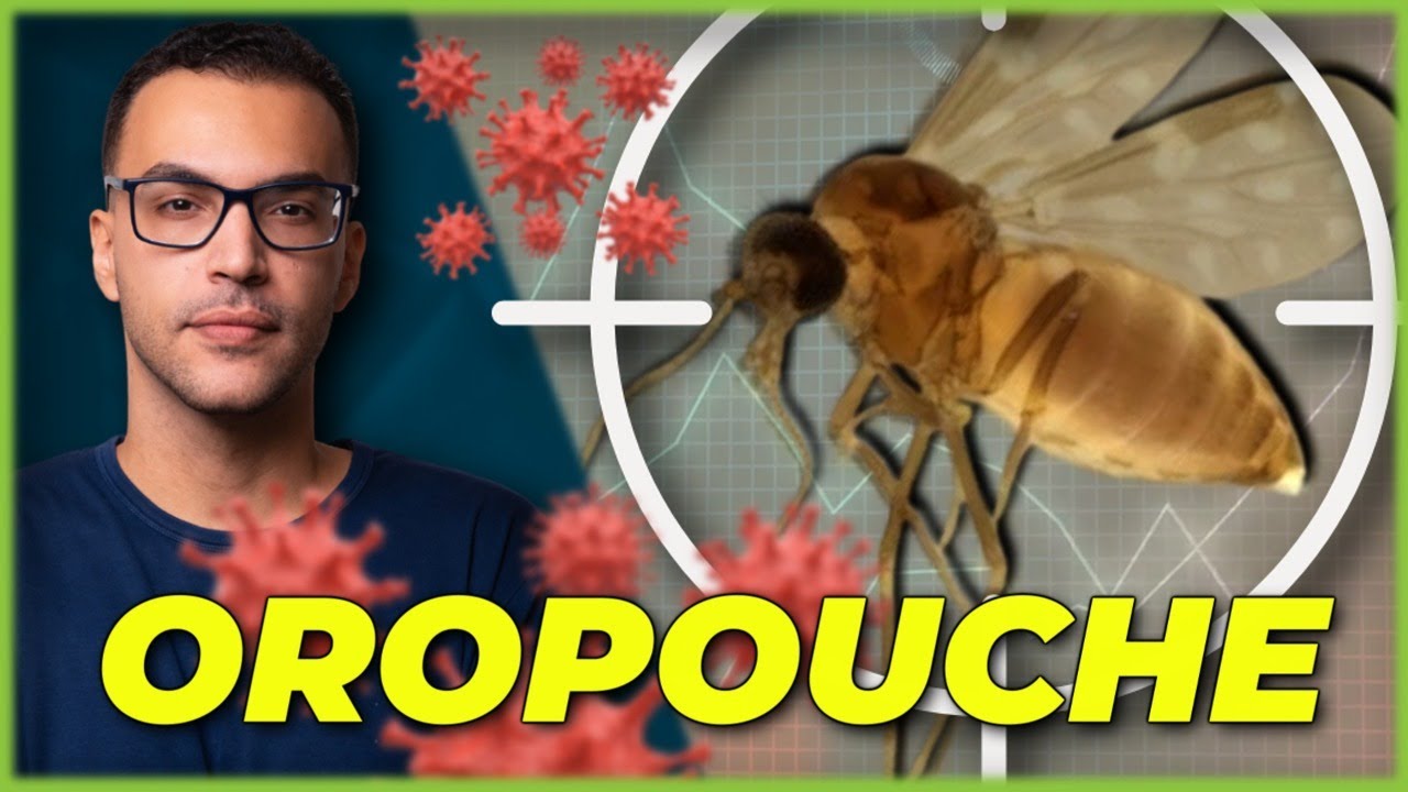 OROPOUCHE: TUDO o que você PRECISA SABER - YouTube