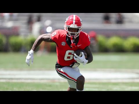 Dominic Lovett 2024 Georgia highlights | NFL 2025 draft prospects - YouTube