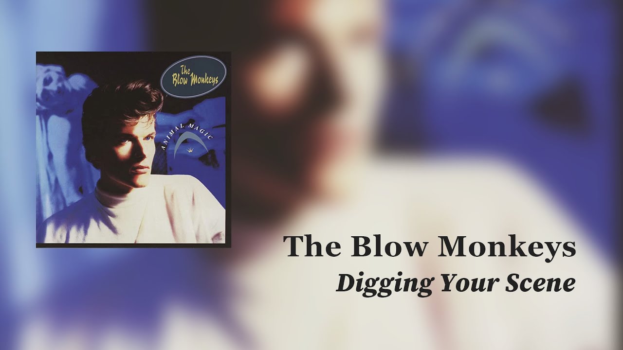 The Blow Monkeys - Digging Your Scene - YouTube