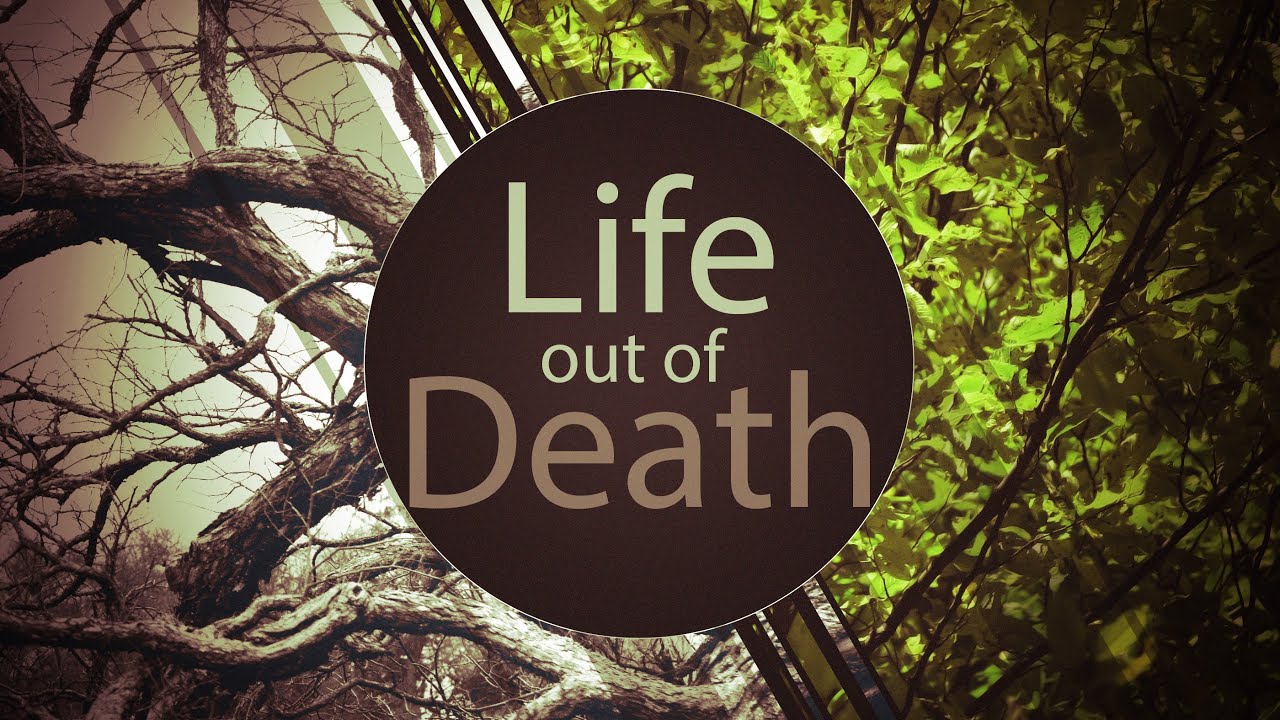 Life Out of Death, Week 1: Series Intro - YouTube